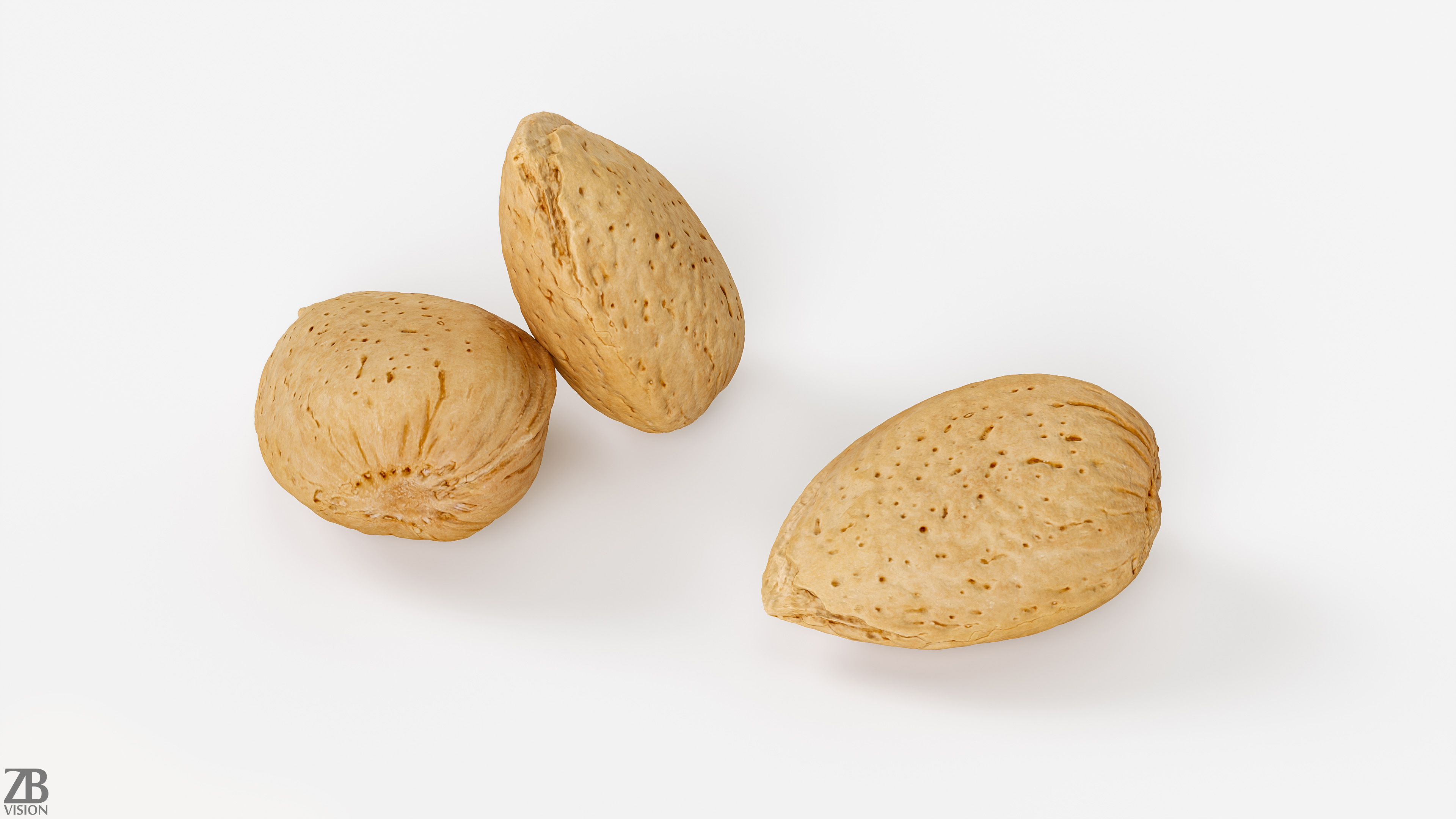 Almond 3D Model – ZB-Vision