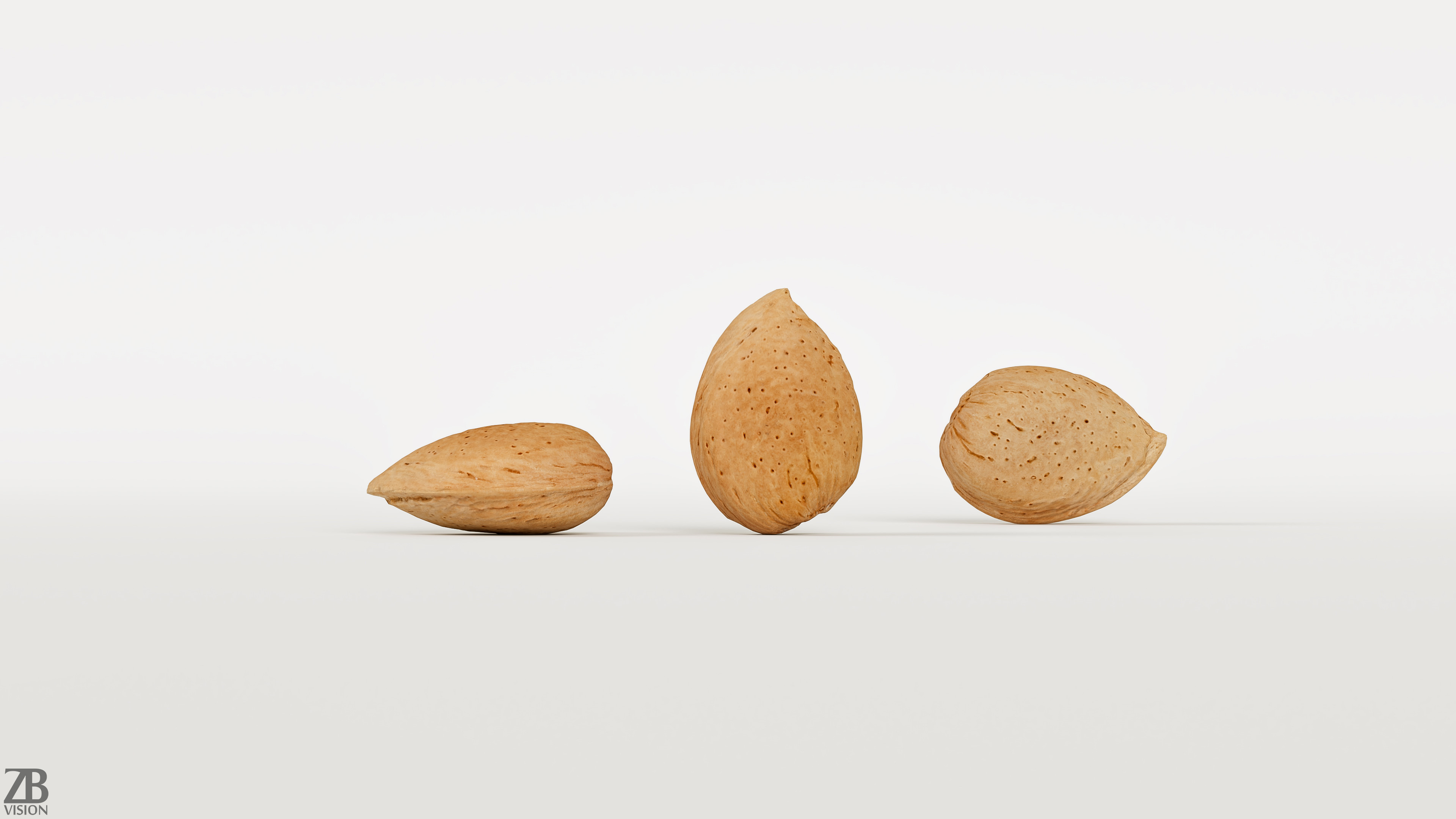Almond 3D Model – ZB-Vision