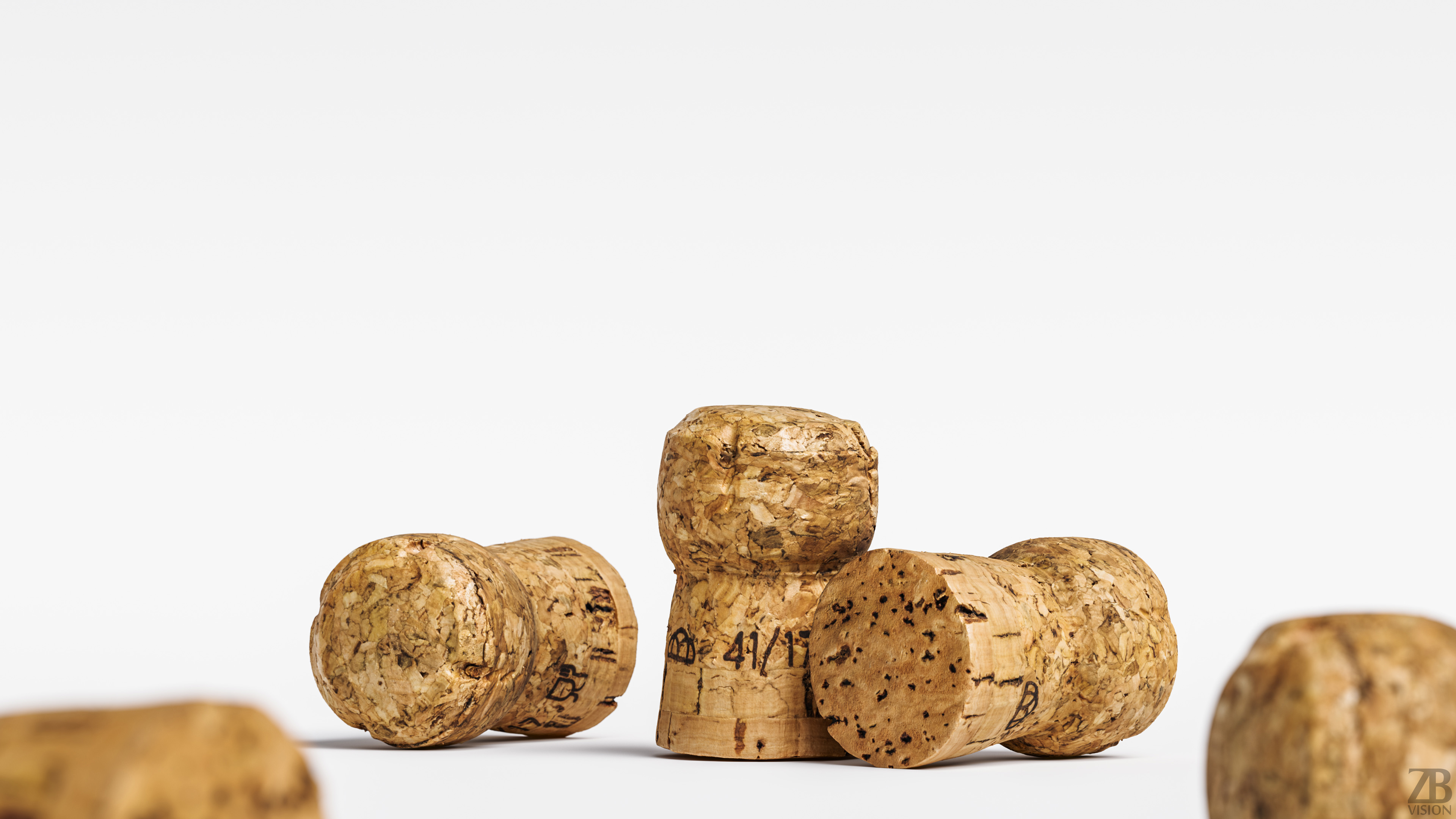 Cork Cap 3D model – ZB-Vision