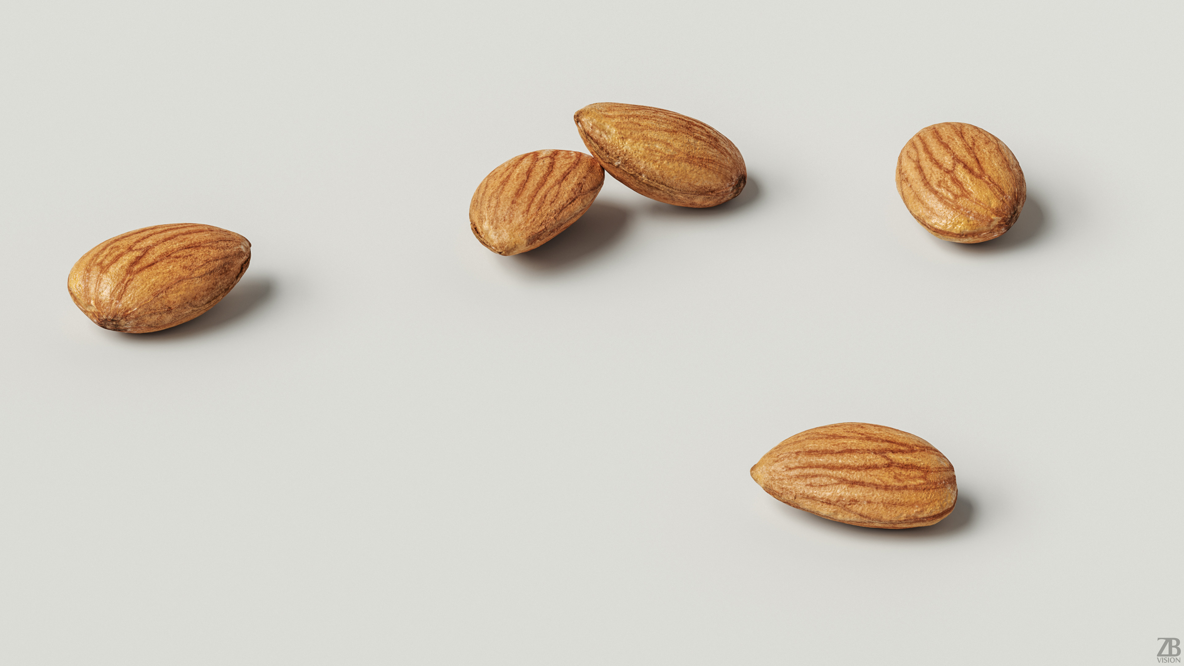 Almond 3D model – ZB-Vision