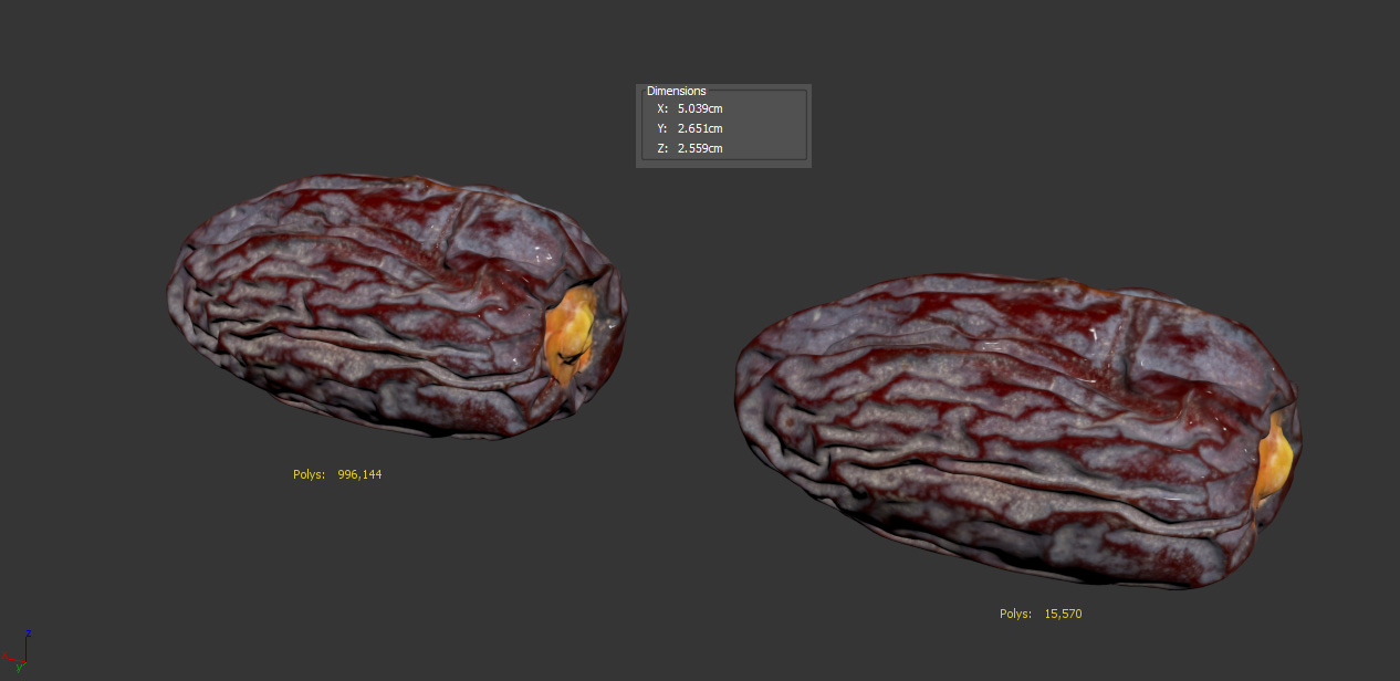 Dried Date 3D model – ZB-Vision