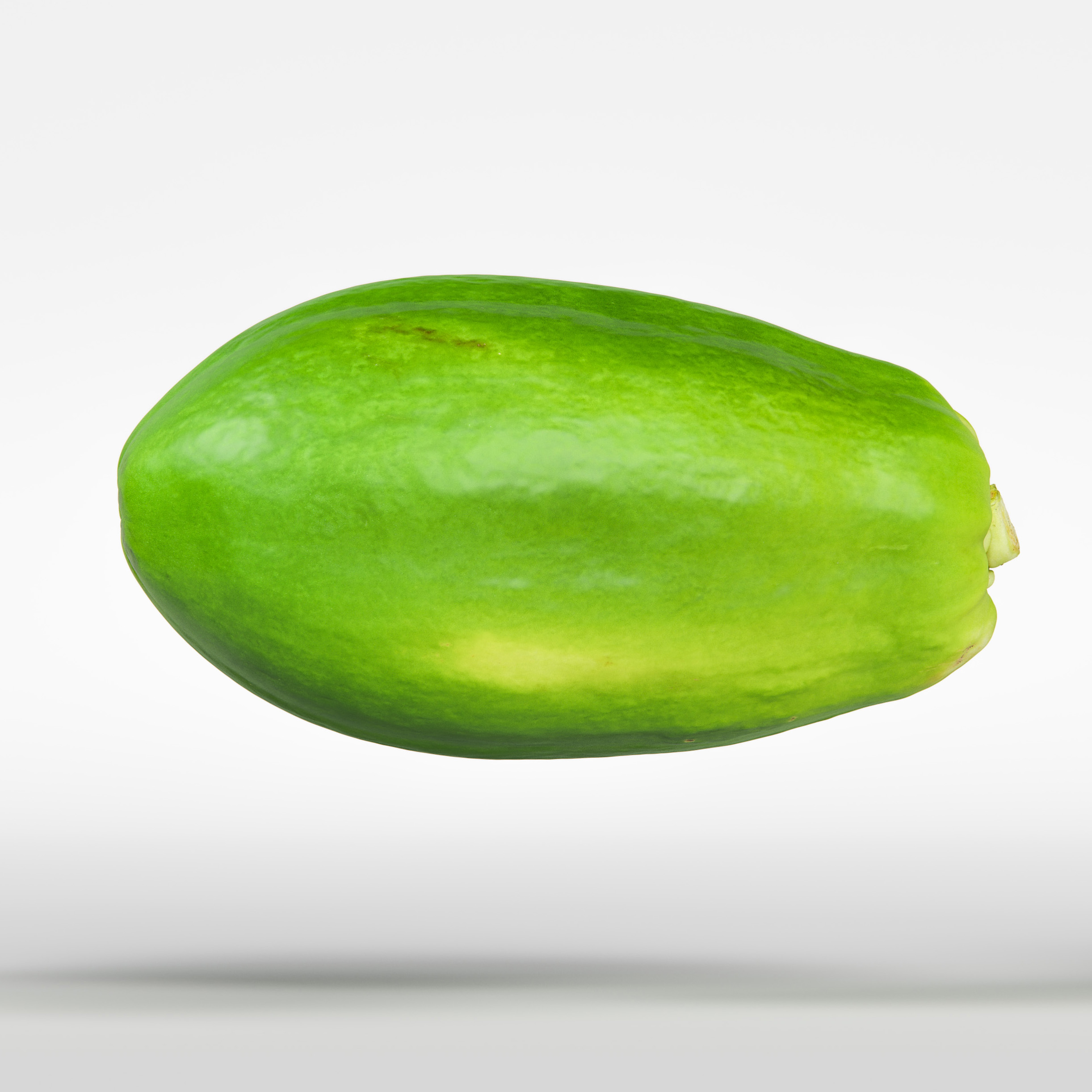 Papaya 3D model – ZB-Vision