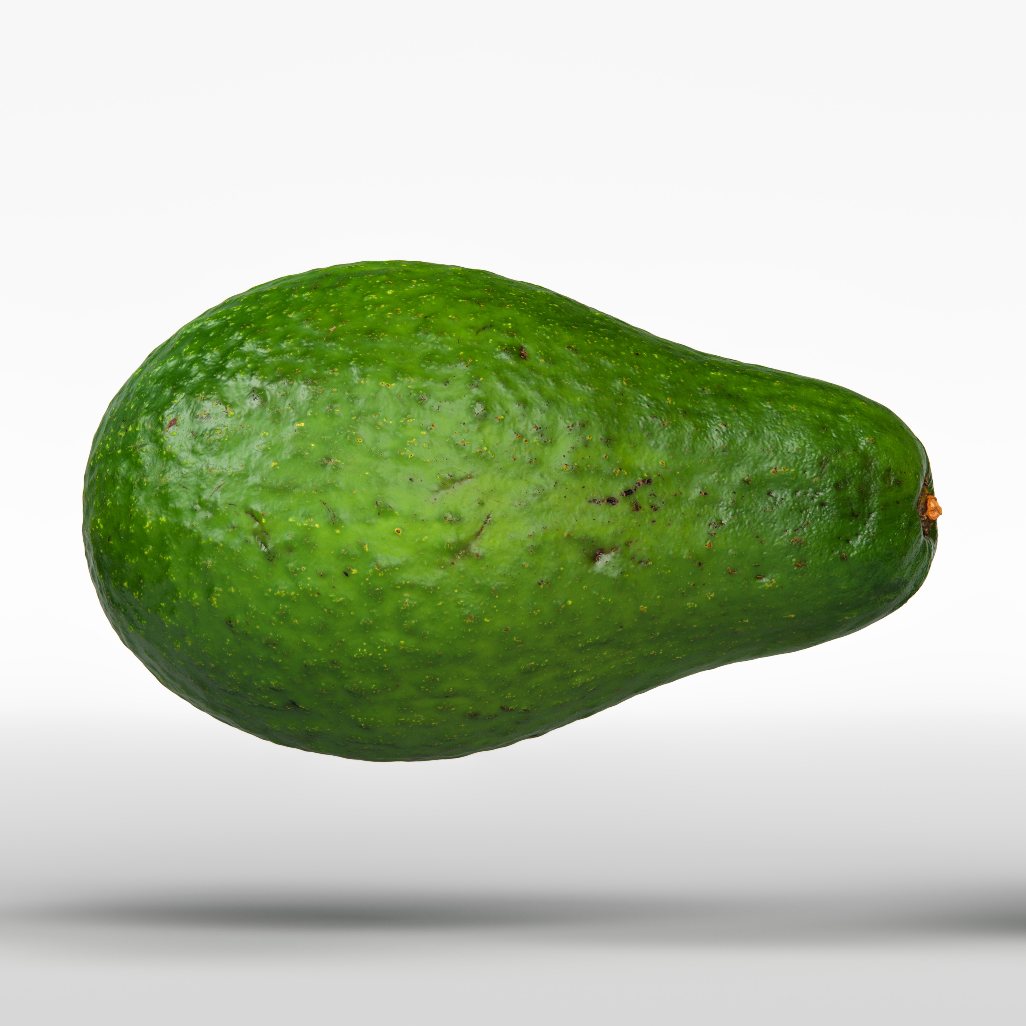 Avocado 3D model – ZB-Vision
