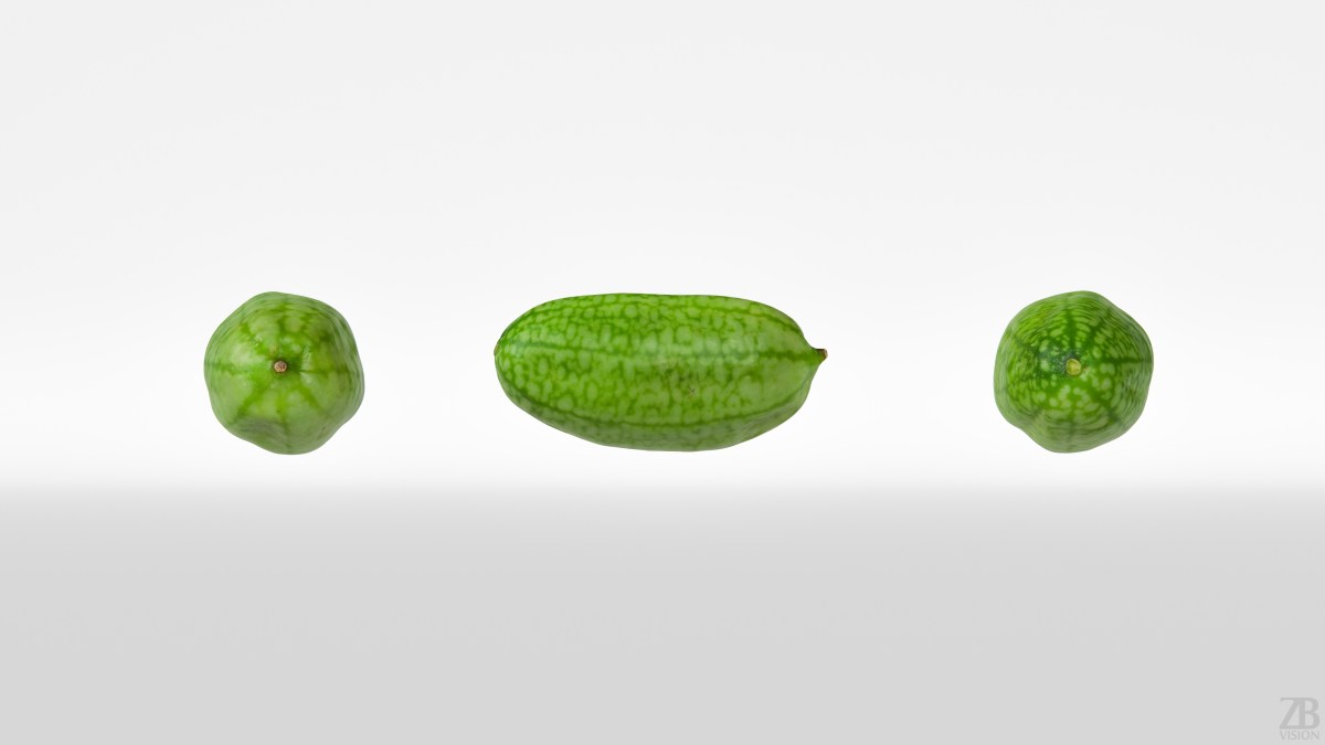 Cucamelon 3D model – ZB-Vision