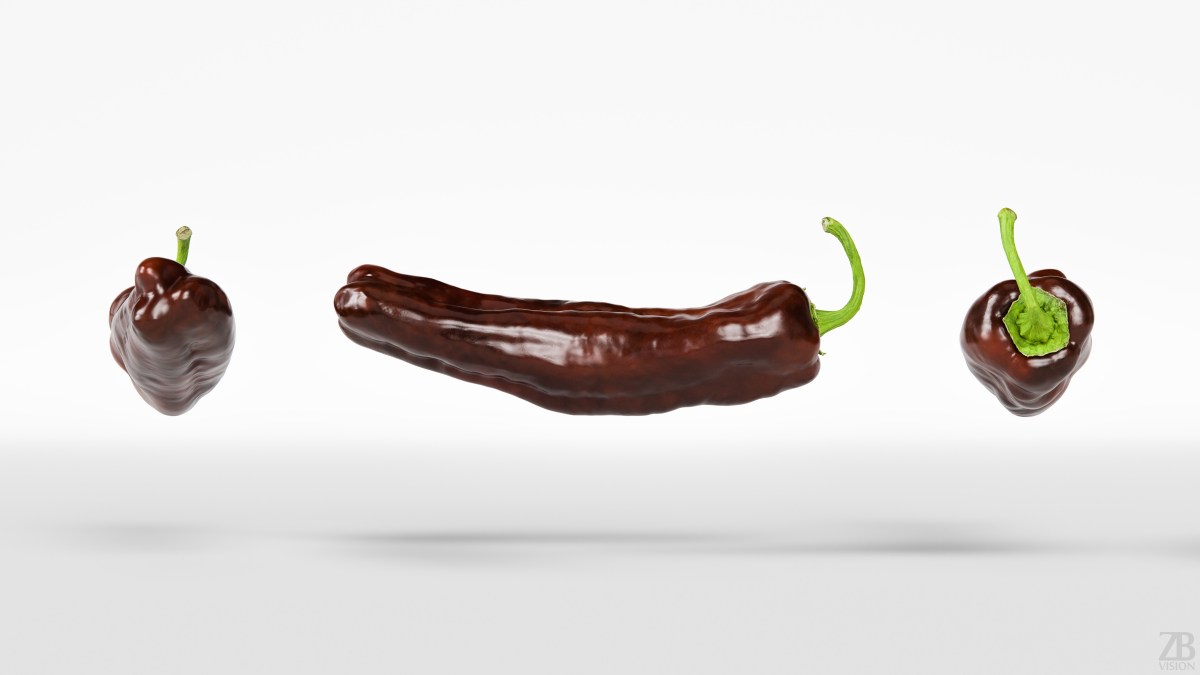 Pepper 3D model – ZB-Vision
