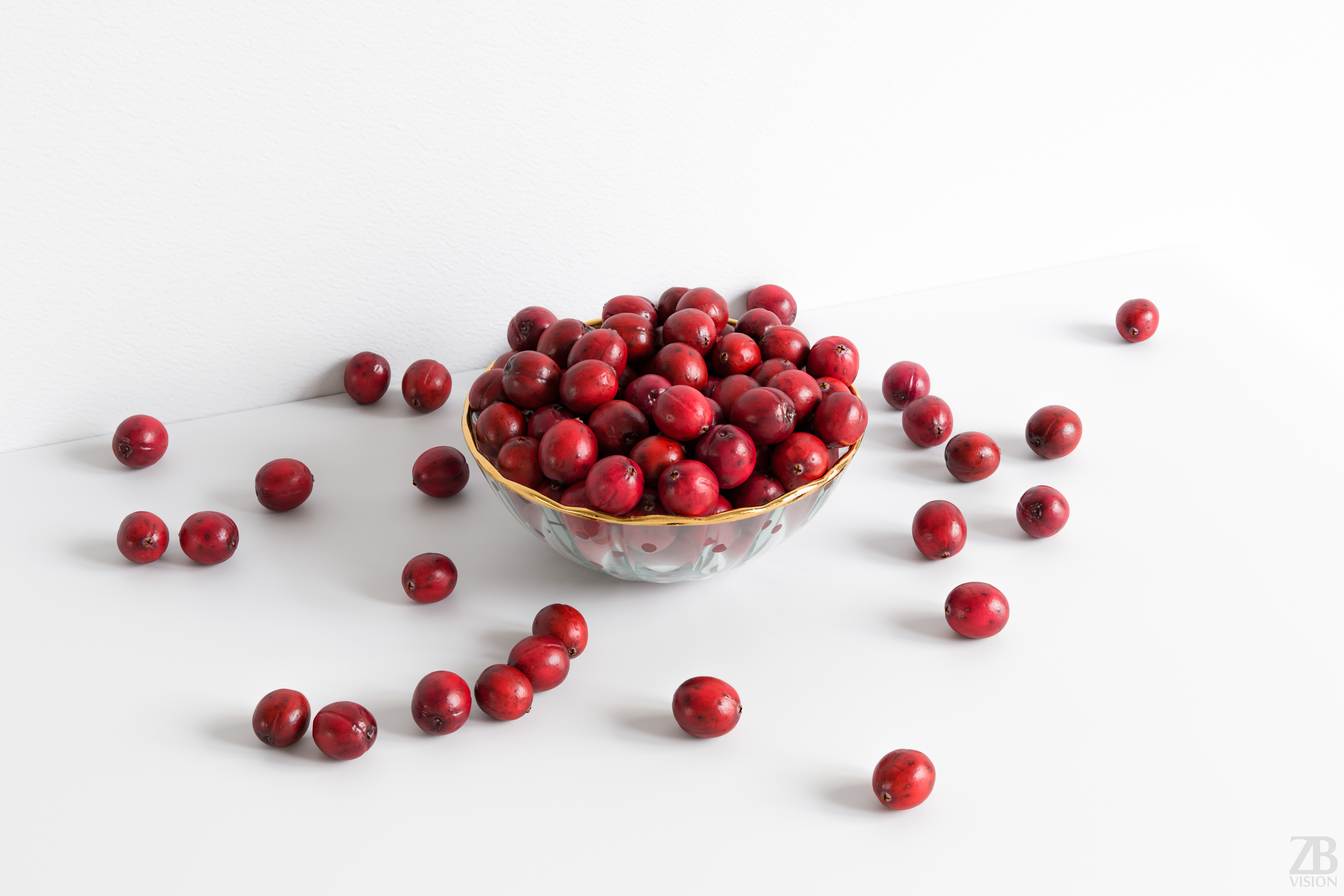 Cranberry 3D model – ZB-Vision