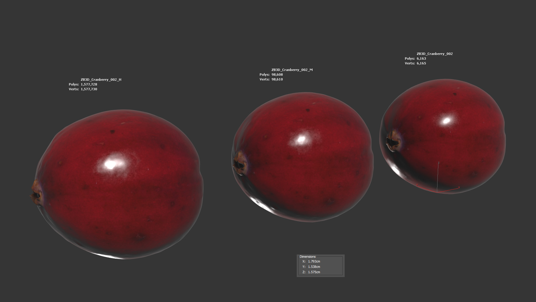 Cranberry 3D model – ZB-Vision