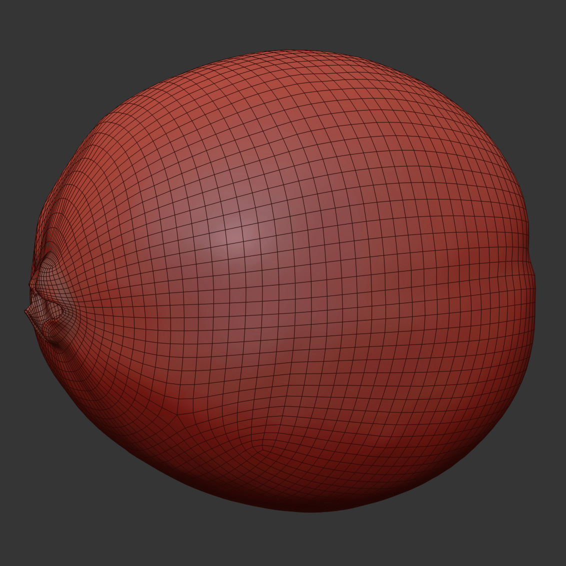 Cranberry 3D model – ZB-Vision