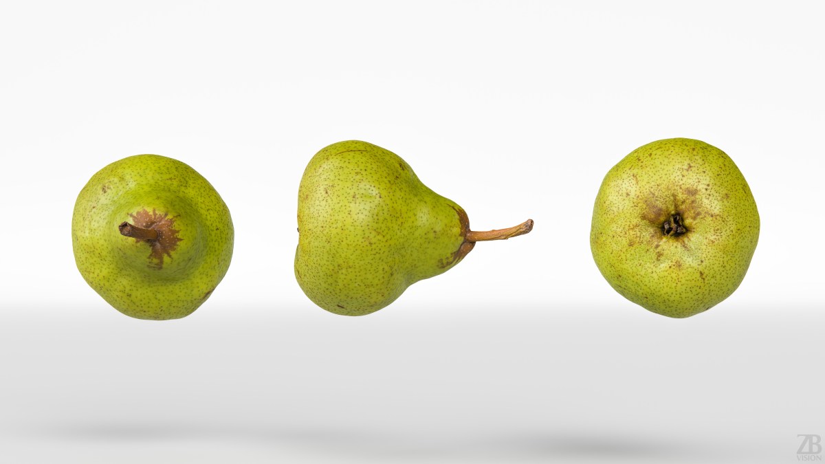 Pear 3D model – ZB-Vision