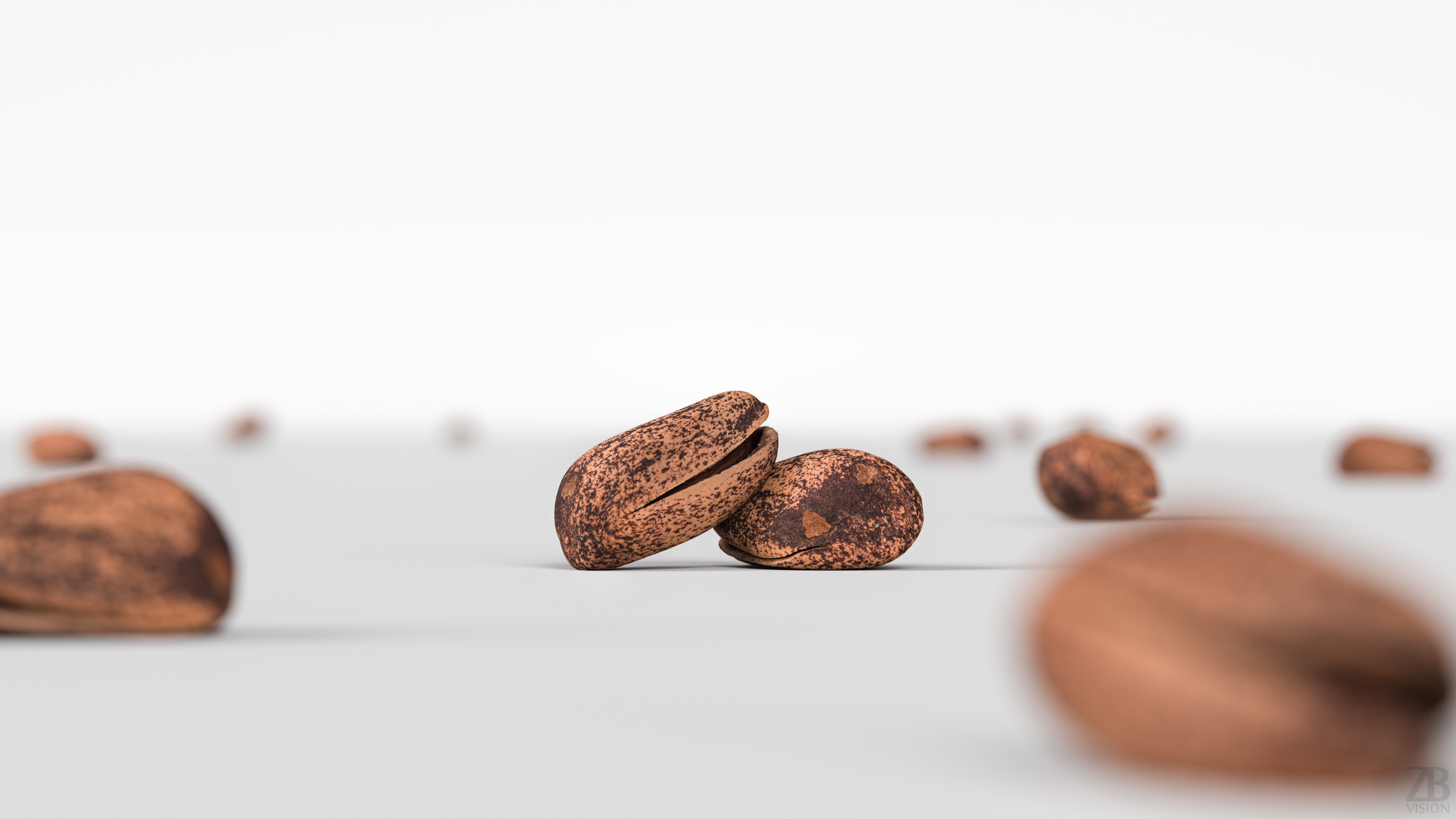 Pine Seed 3D model – ZB-Vision