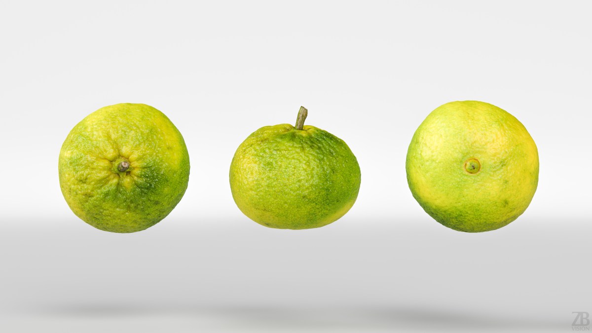 Satsuma 3D model – ZB-Vision