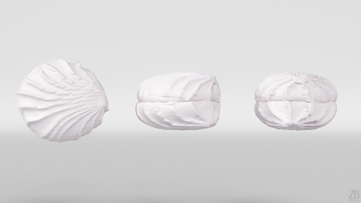 Zefir 3D model – ZB-Vision