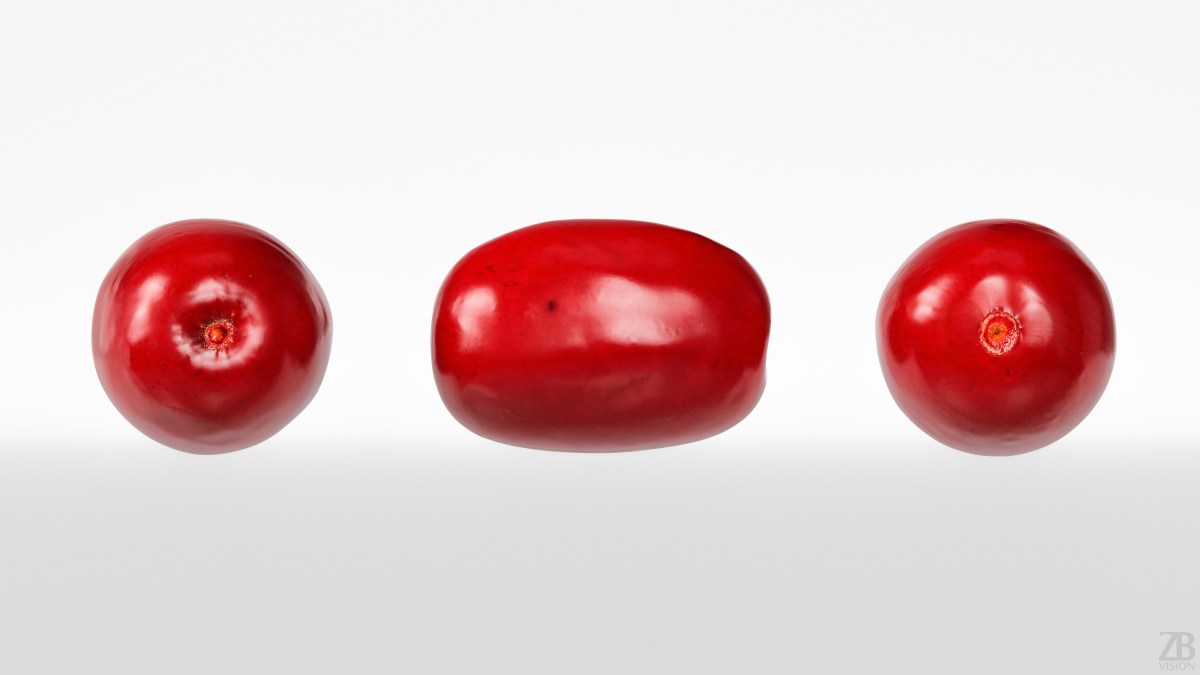 Cornel 3D model – ZB-Vision