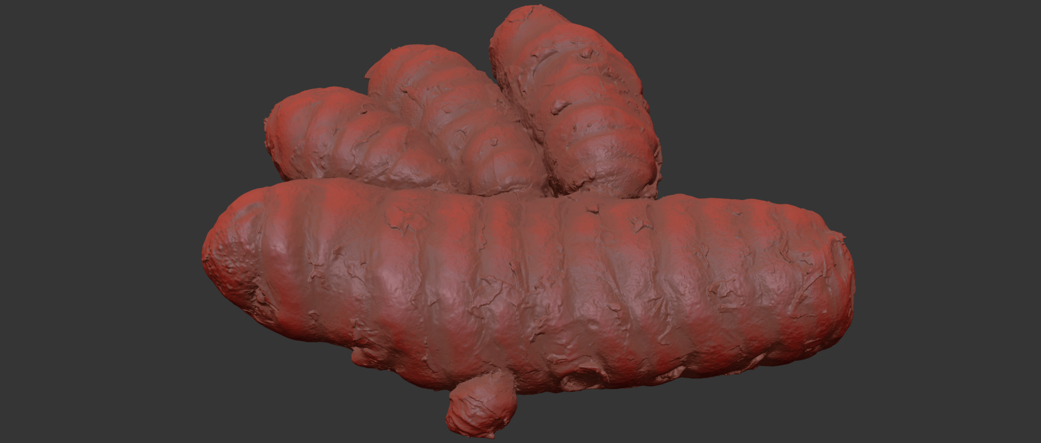 Turmeric 3D model – ZB-Vision