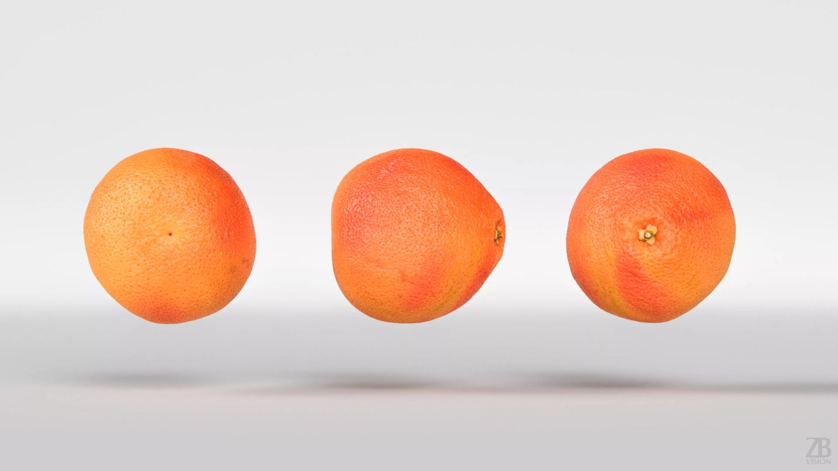 Grapefruit 3D model – ZB-Vision