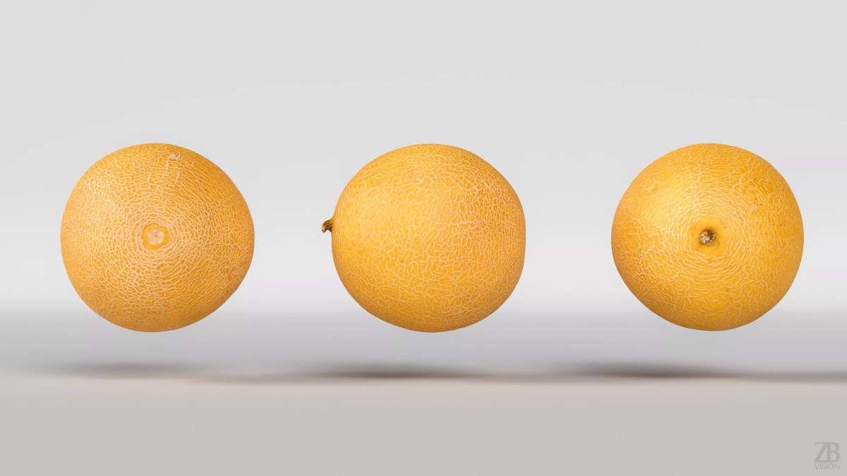 Melon 3D model – ZB-Vision