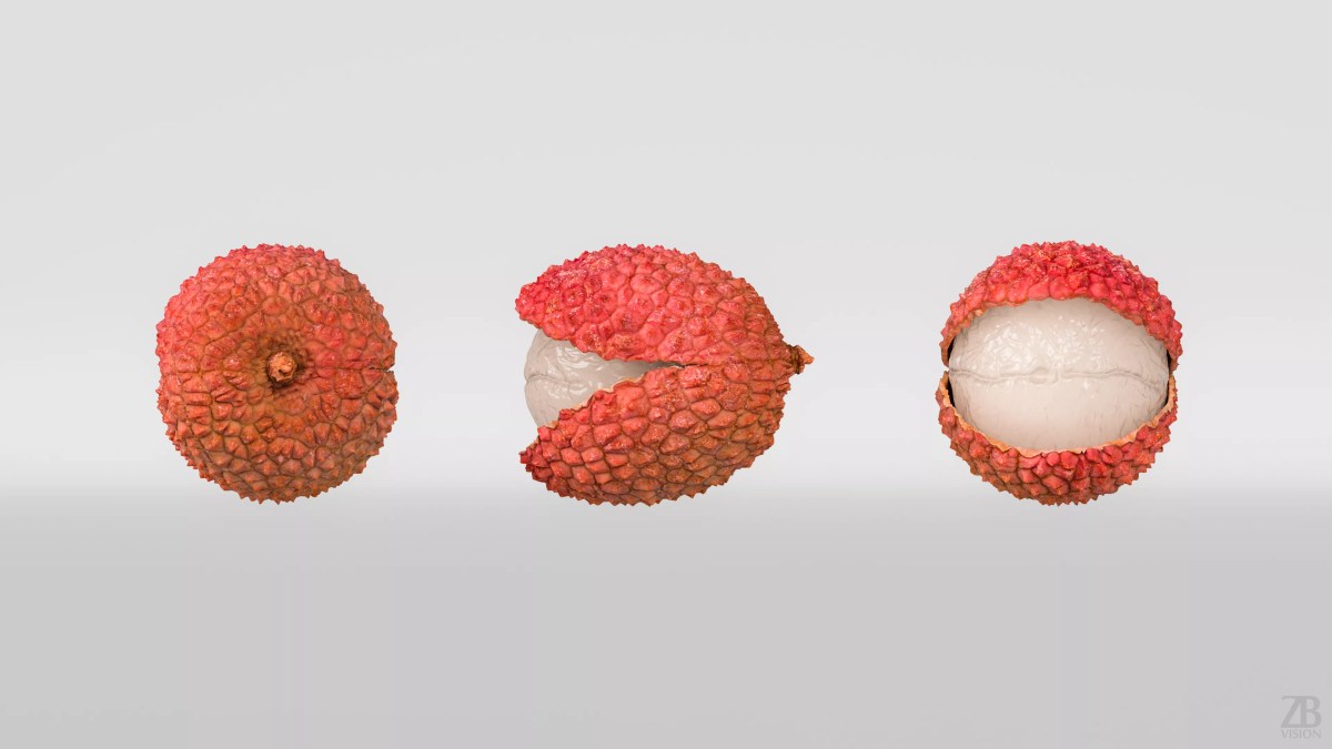 Lychee 3D model – ZB-Vision