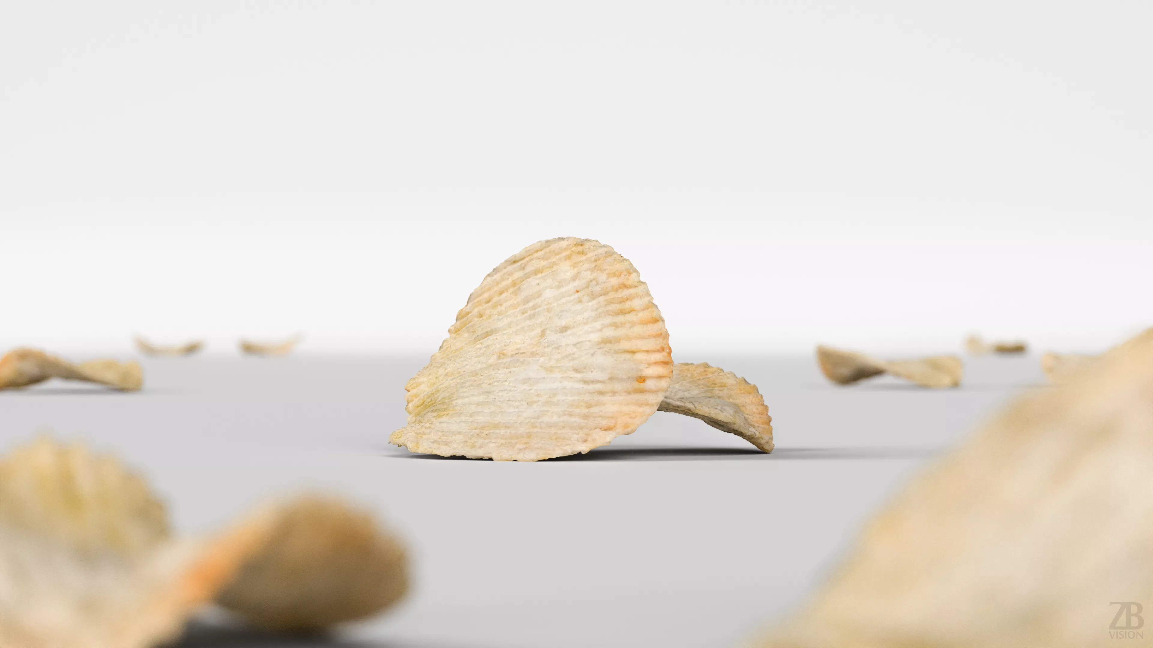 Potato Chip 3D model – ZB-Vision