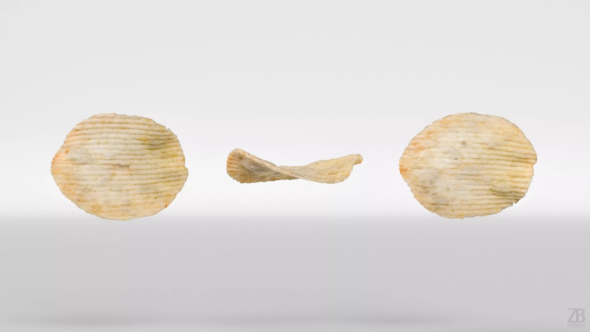 Potato Chip 3D model – ZB-Vision