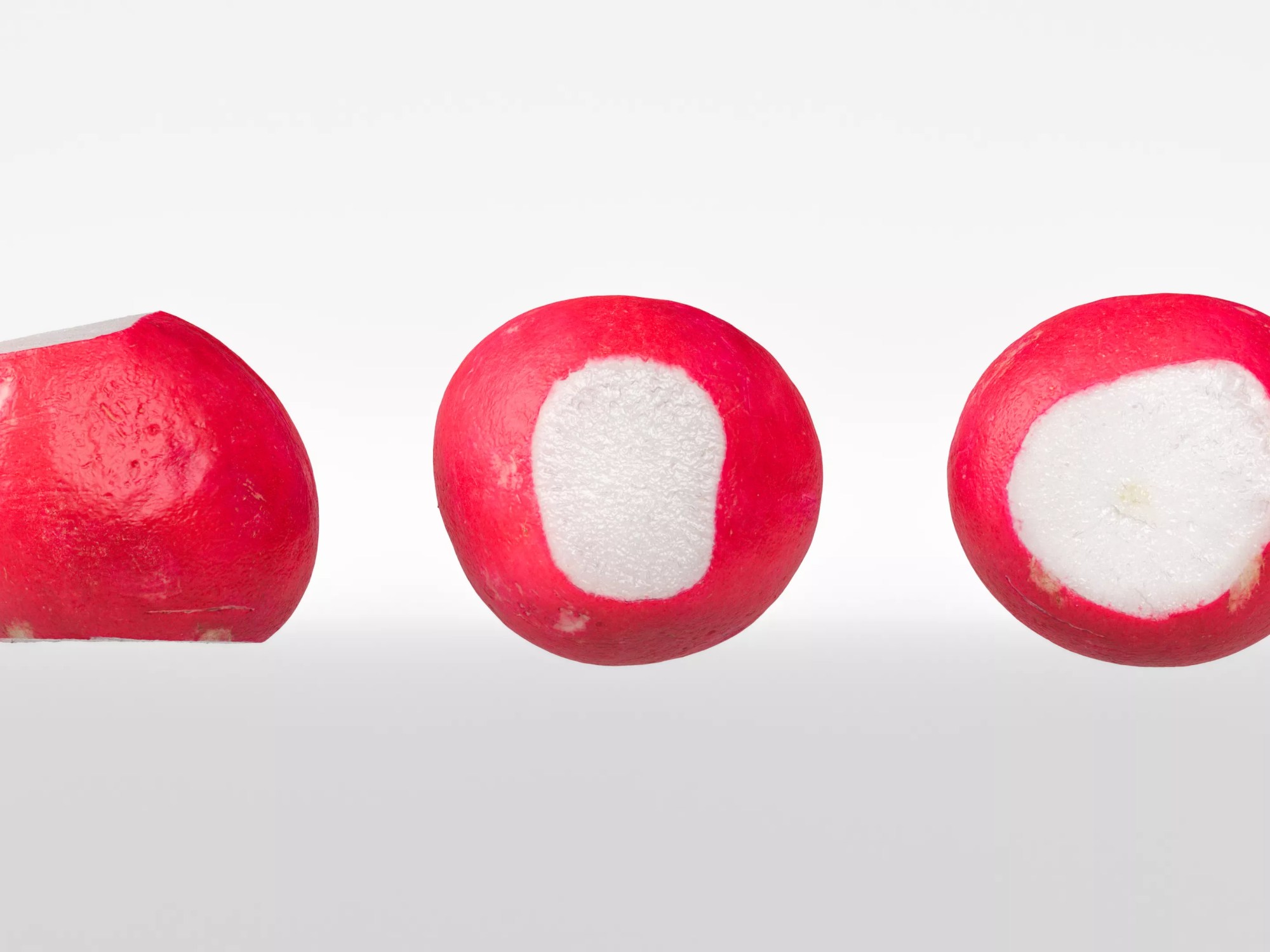 Radish 3D model – ZB-Vision