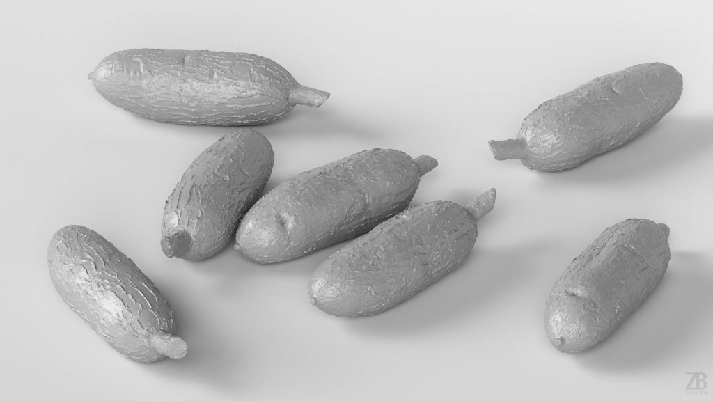 Cassava 3D model – ZB-Vision