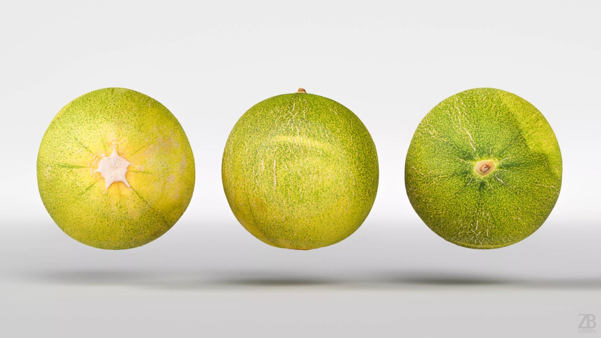 Melon 3D model – ZB-Vision