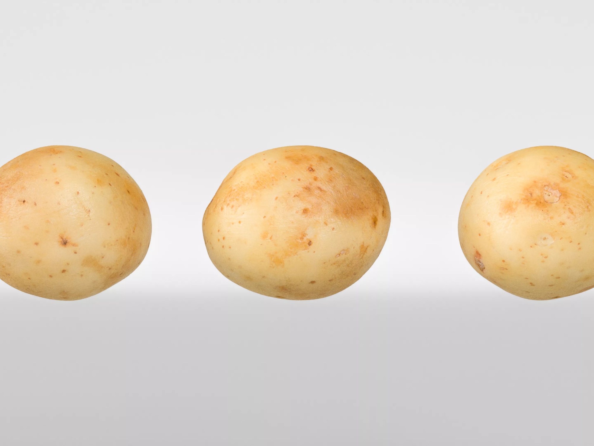 Potato 3D model – ZB-Vision