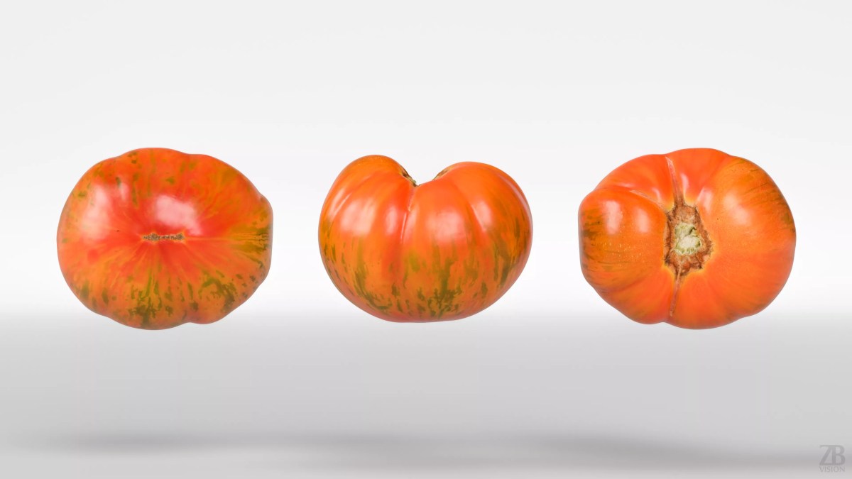Tomato 3D model – ZB-Vision