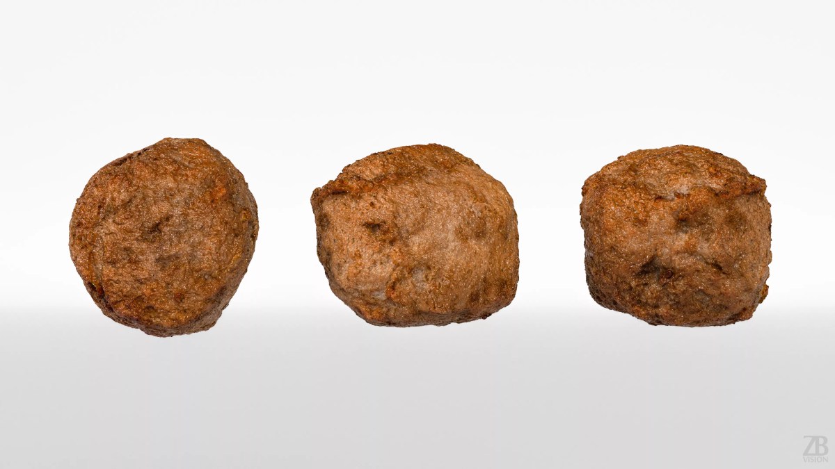 Meatball 3D model – ZB-Vision