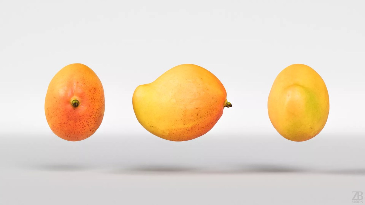 Mango 3D model – ZB-Vision