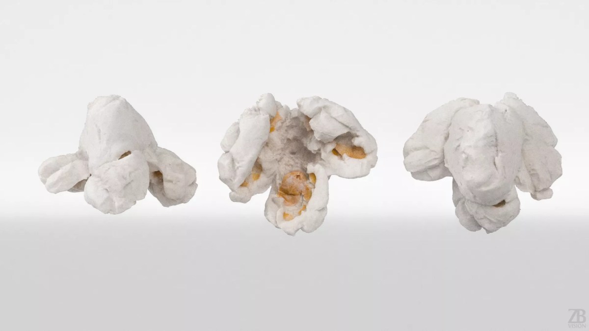Popcorn 3D model – ZB-Vision
